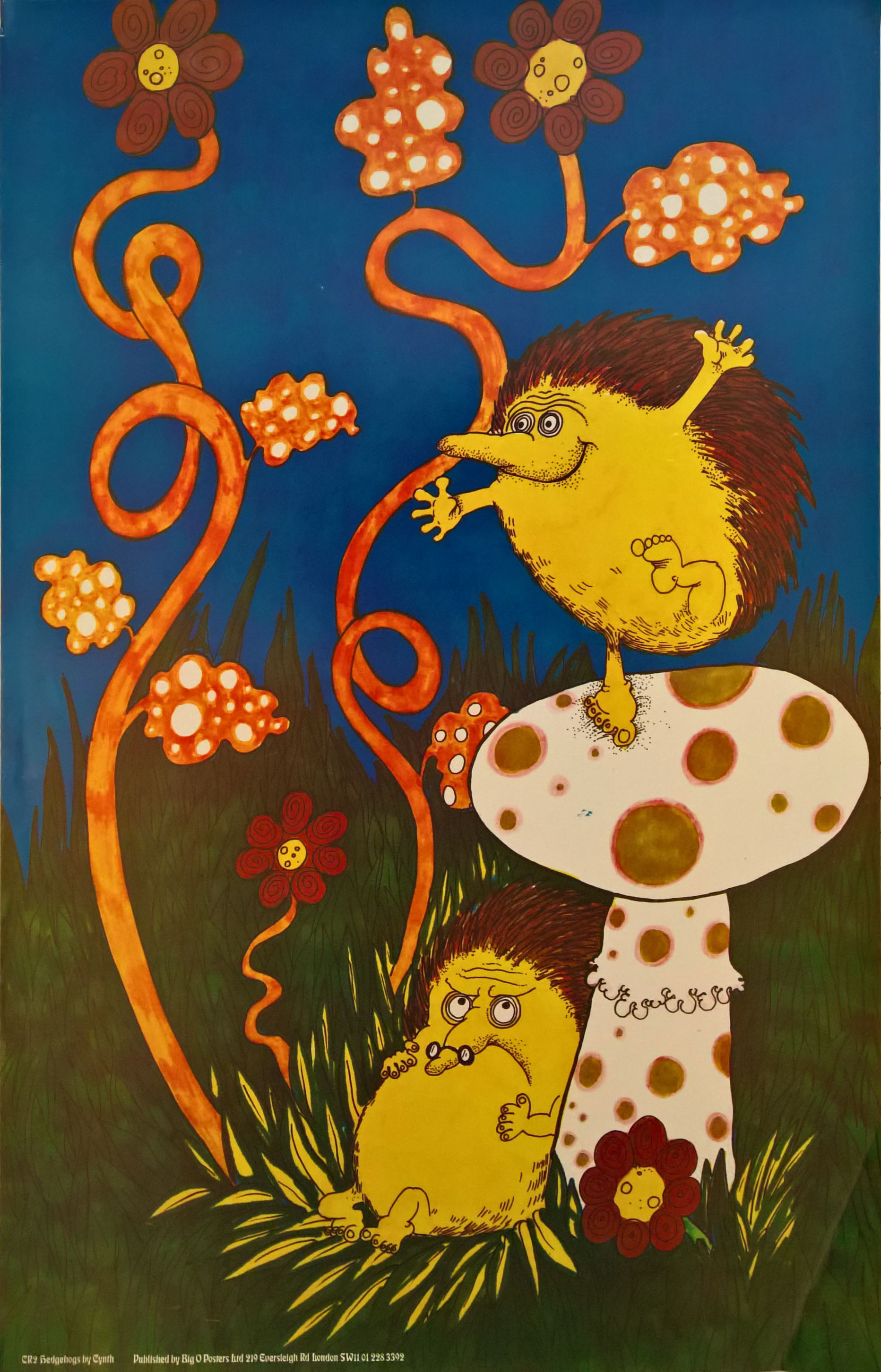 Hedgehogs - Psychedelic Rock Posters